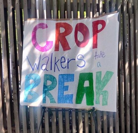 Thank You for Participating in the 2024 Berkeley CROP Hunger Walk ...