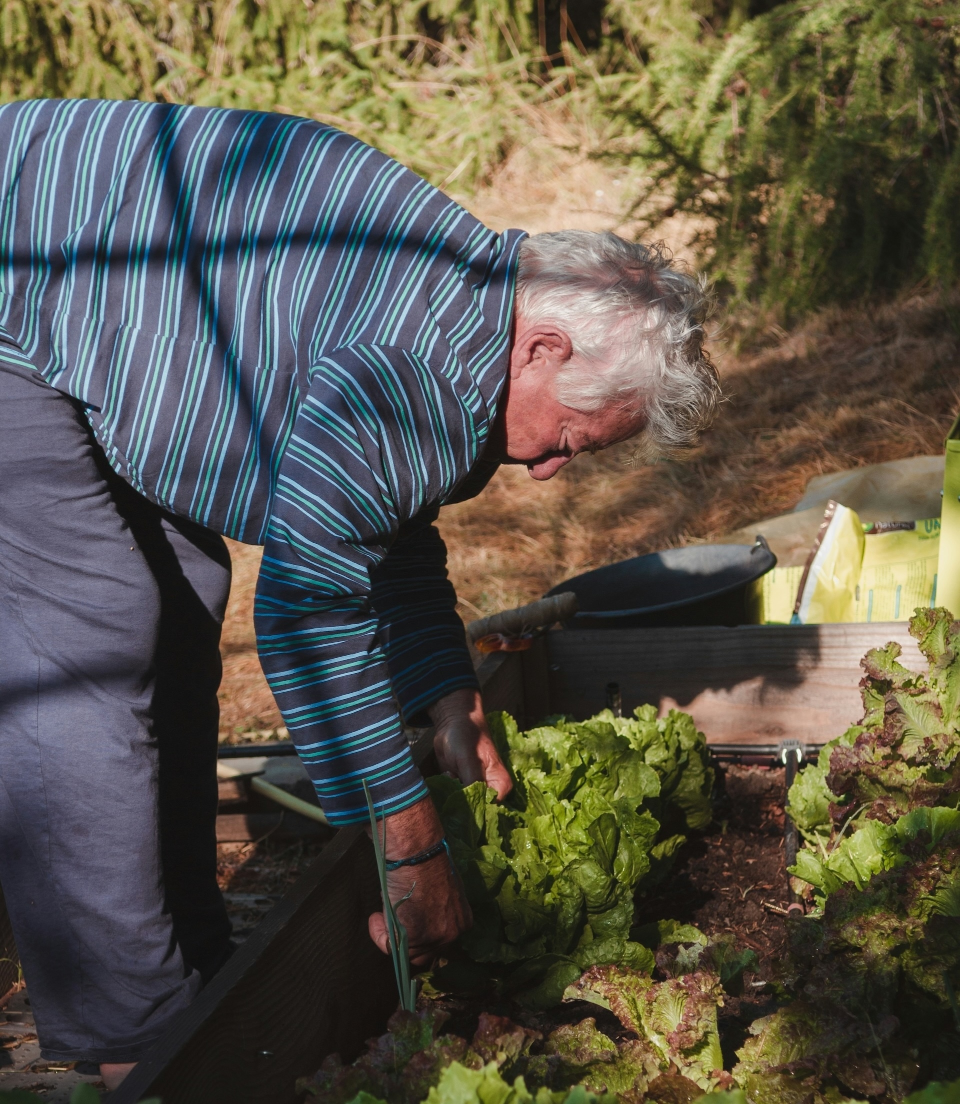 August 25 Learning Hour: Daily Life Challenges - Gathering Resources to ...