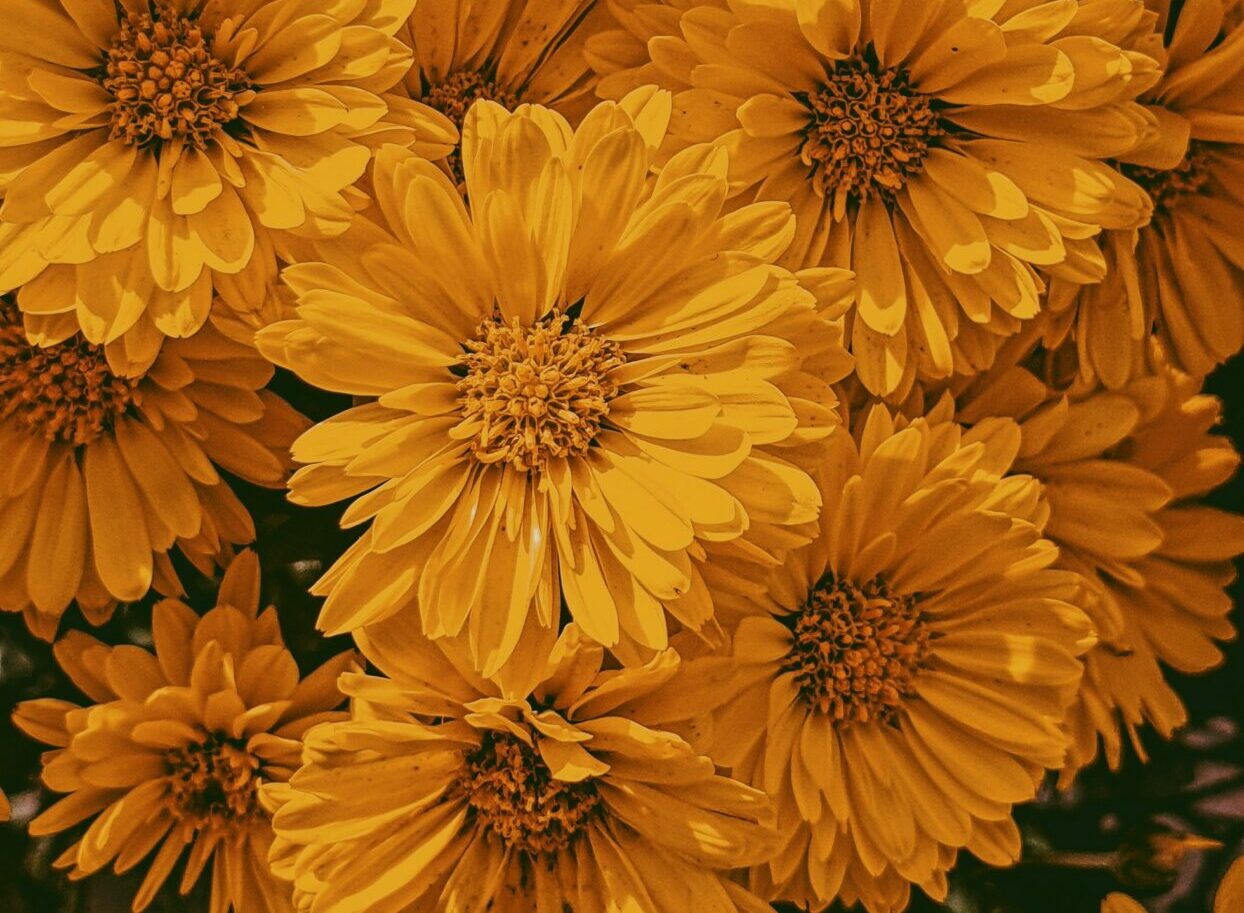 Did You Know...? - First Church Berkeley UCC